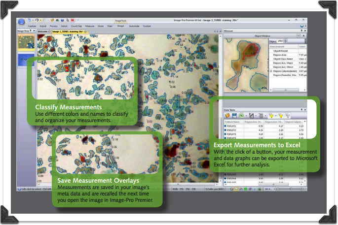 AutoQuant X3 // Deconvolution Software - Meyer Instruments