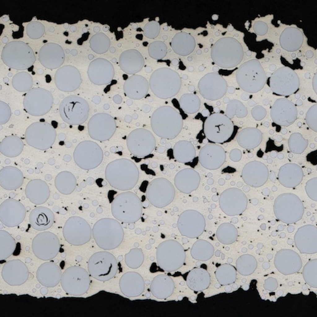 Micrograph - Rod Longi. View - HFRA379 Lot6009 from DiaPac Montage@36x ...