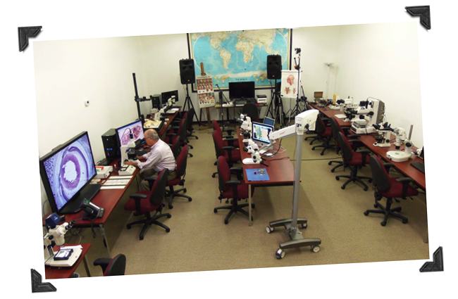 about-2 - Meyer Instruments