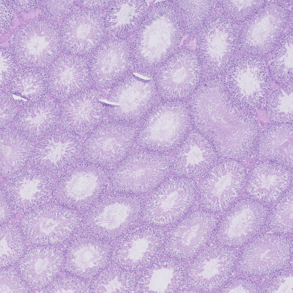 Meyer Instruments, Inc. - Meyer Instruments