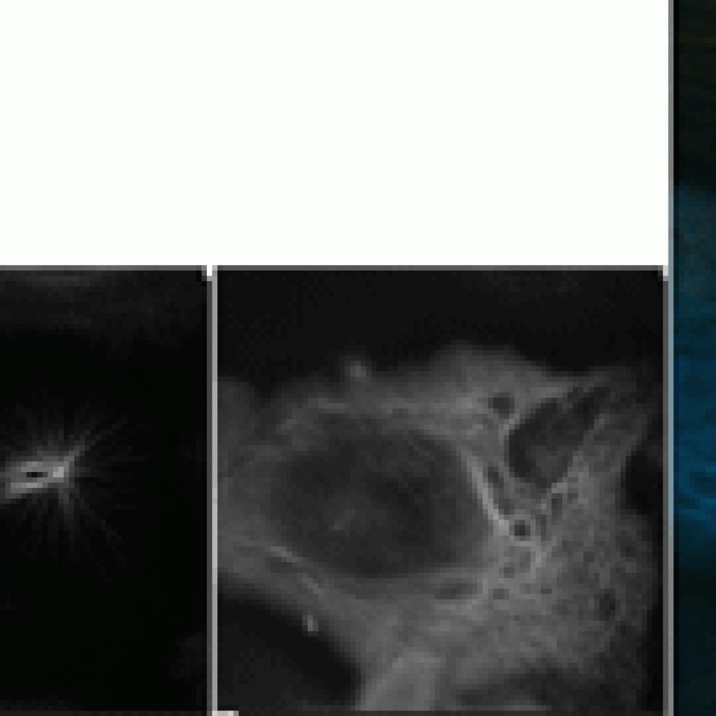 Image-Pro Plus MDA composite_image - Meyer Instruments