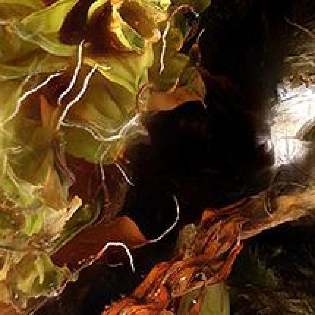 GIGAmacro - Meyer Instruments