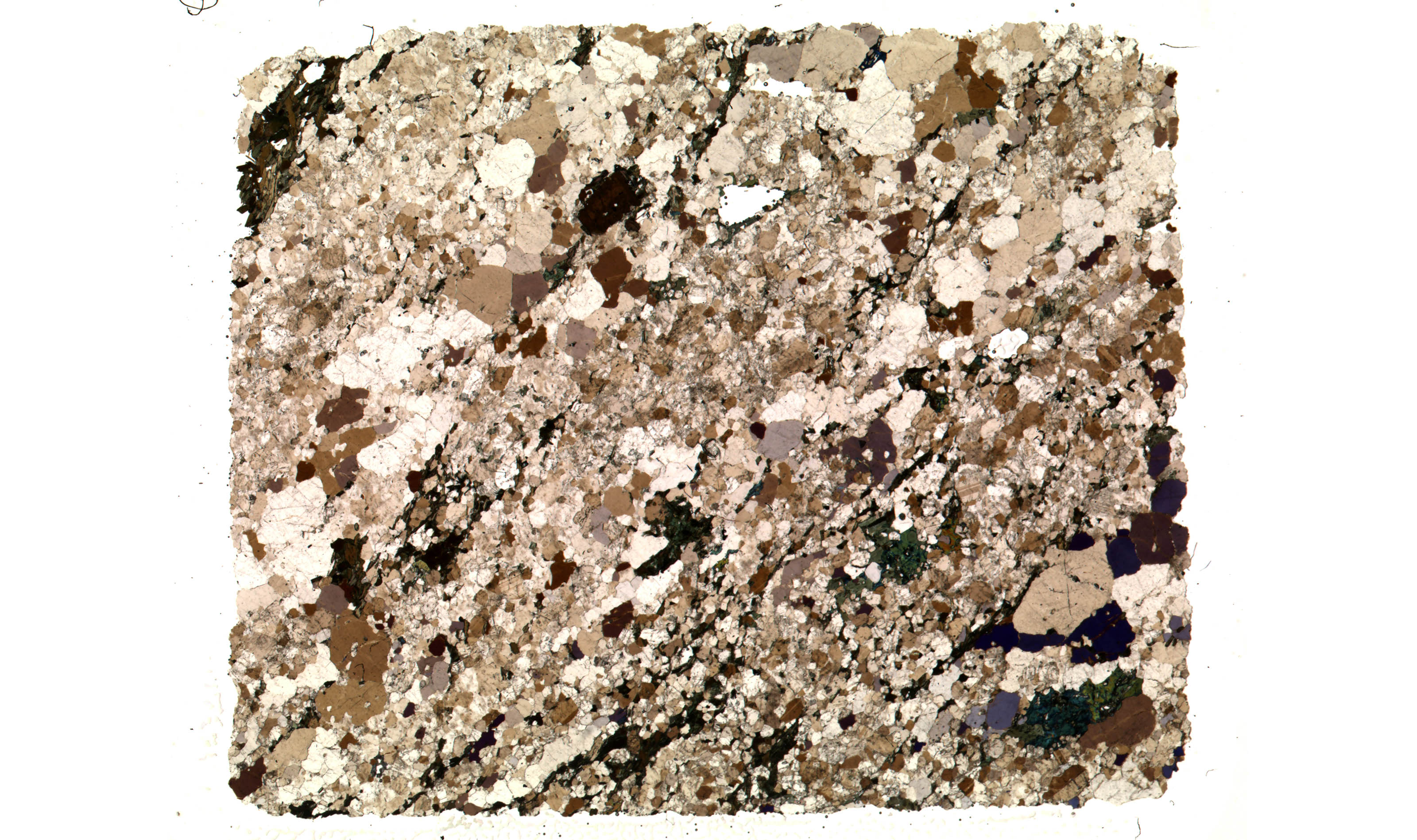 PathScan Enabler with POL holder - Meyer Instruments