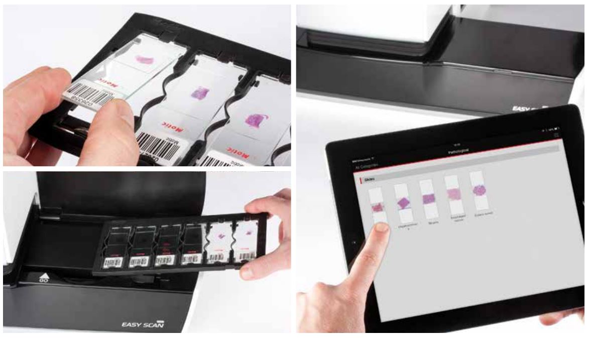 Easy Scan slide loader - Meyer Instruments