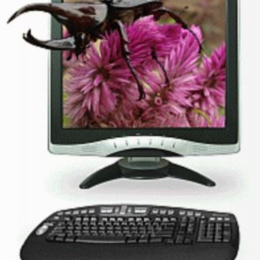 Promicra PRO-3D - Meyer Instruments