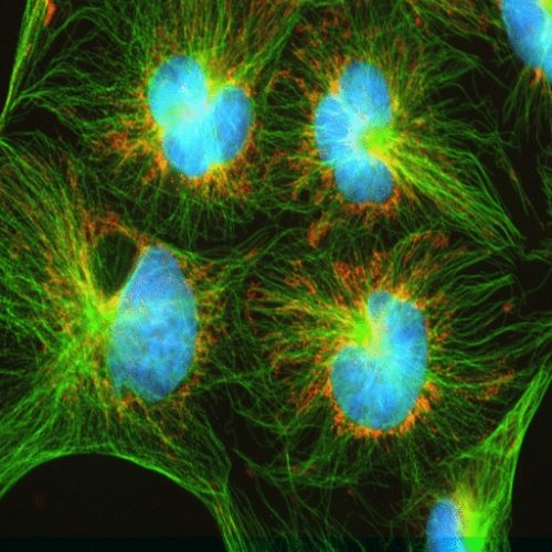 Life Science Applications - Meyer Instruments