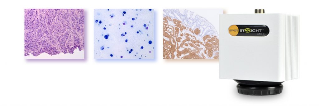 SPOT Insight CMOS 5MP USB3 Camera - Meyer Instruments