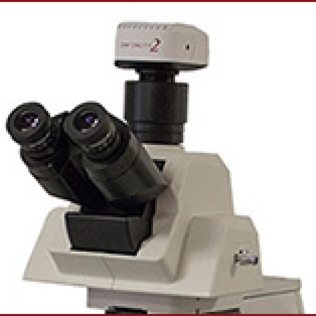 exc-500-trinoc-ergo-head-1 - Meyer Instruments