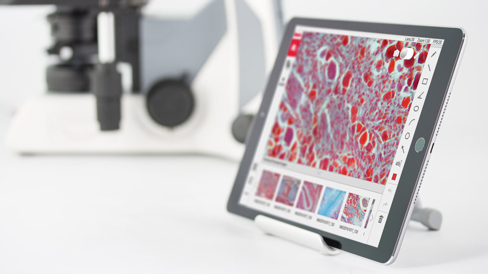 Motic Panthera Microscopes - Meyer Instruments