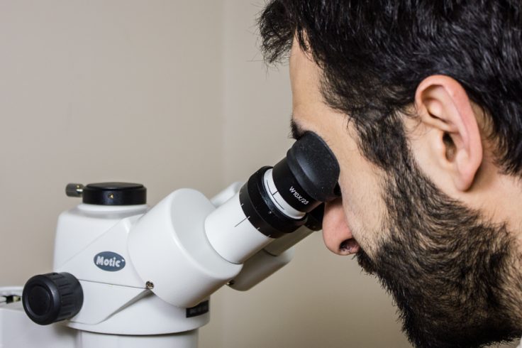 Nightsea Microscope Eye Shields – Great for Fluorescence Microscopy ...