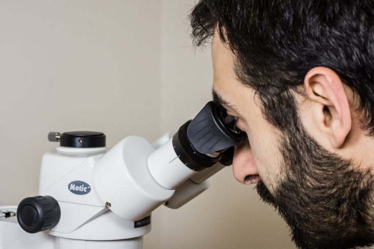 Nightsea Microscope Eye Shields – Great for Fluorescence Microscopy ...