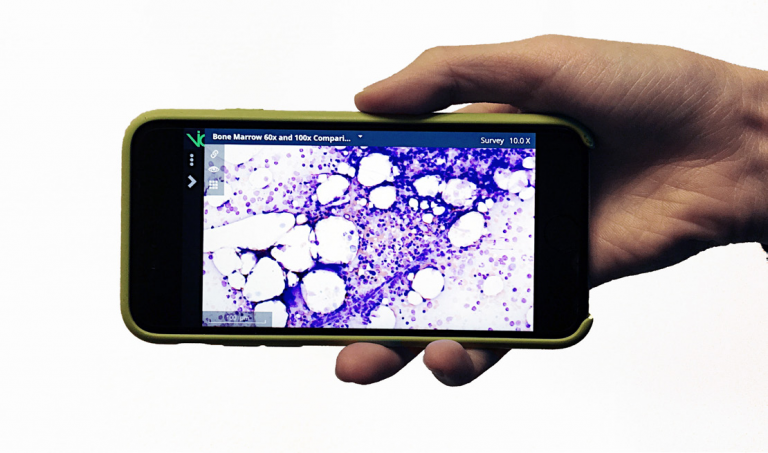 Panoptiq - manual slide stitching software - Meyer Instruments