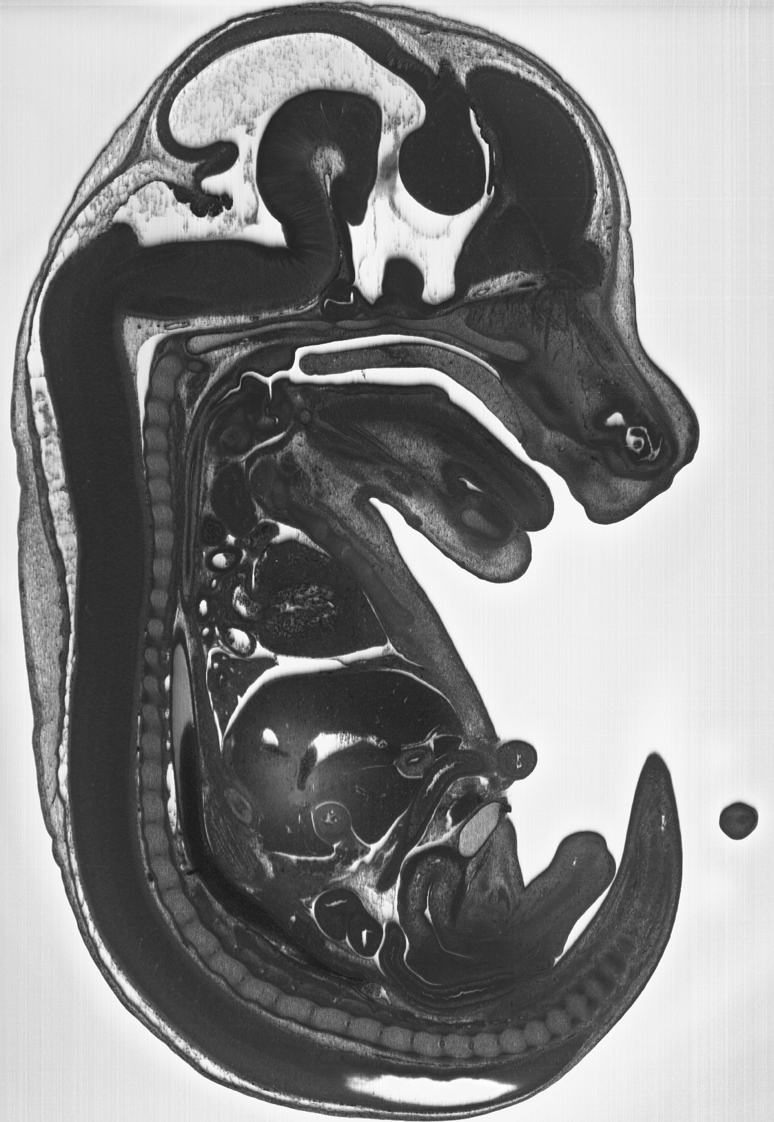 HREM - New 3D Imaging - Meyer Instruments
