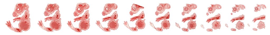 ten-serial-mice-small - Meyer Instruments