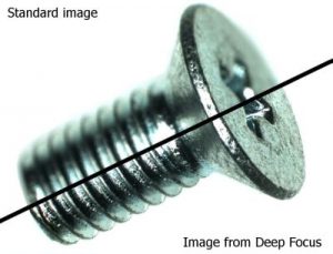 deep_focus_z_stacking_sample_image_halved - Meyer Instruments