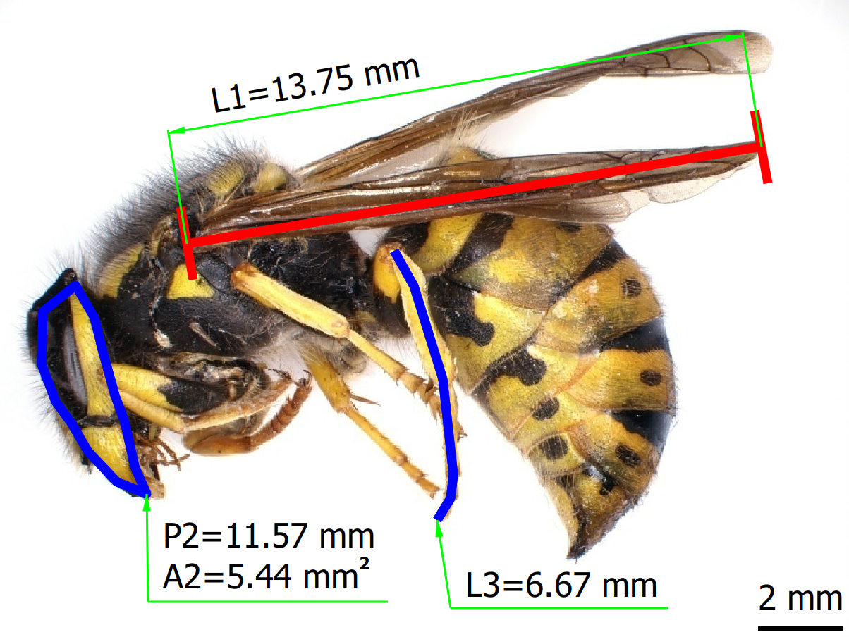 QuickPHOTO Micro - Meyer Instruments
