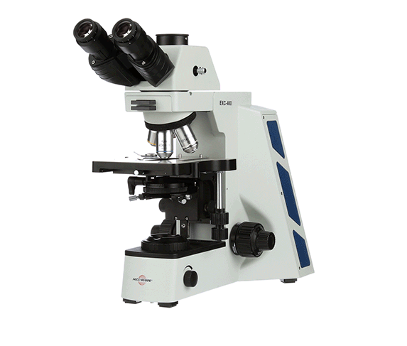 Download Labeled Diagram Of A Compound Microscope Gif - vrogue.co