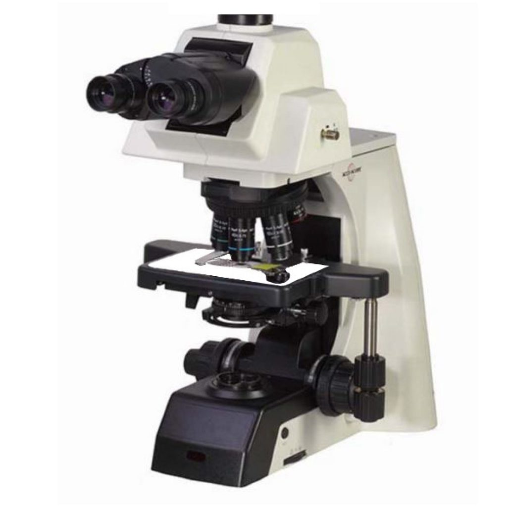 AccuScope EXC-500 Microscope - Meyer Instruments