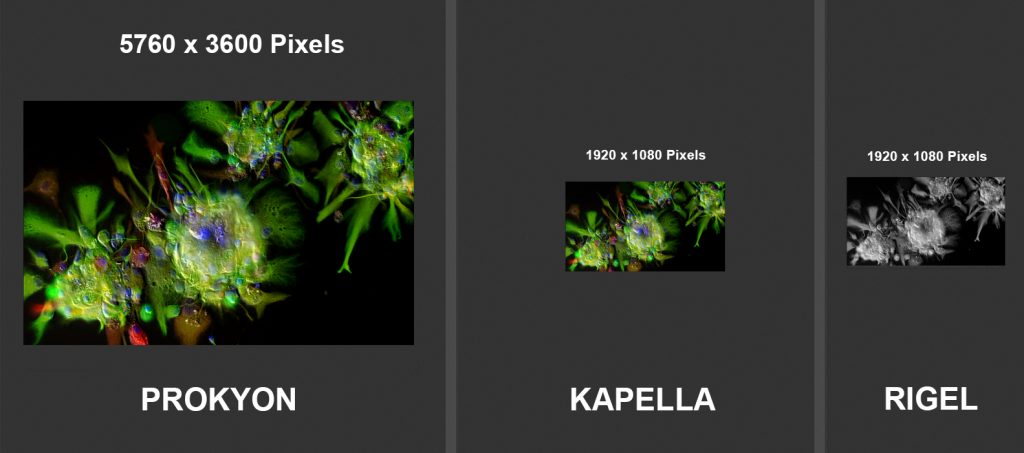 Jenoptik Digital Cameras // Meyer Instruments