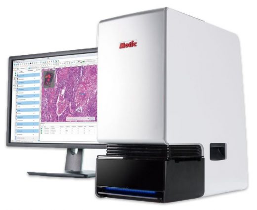 Easyscan EasyScan Portable Document and Image Scanner - 13 Deals