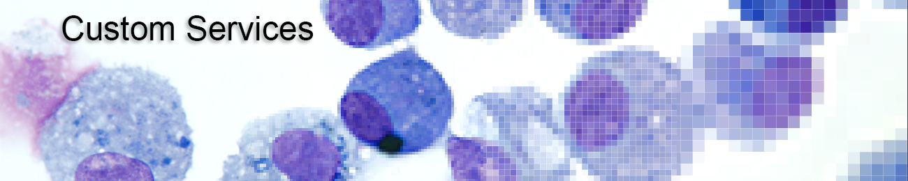 composite - Meyer Instruments