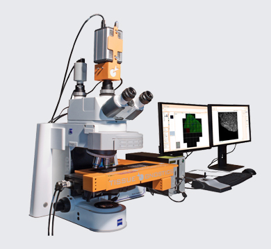 intro-tissuefaxs-spectra - Meyer Instruments
