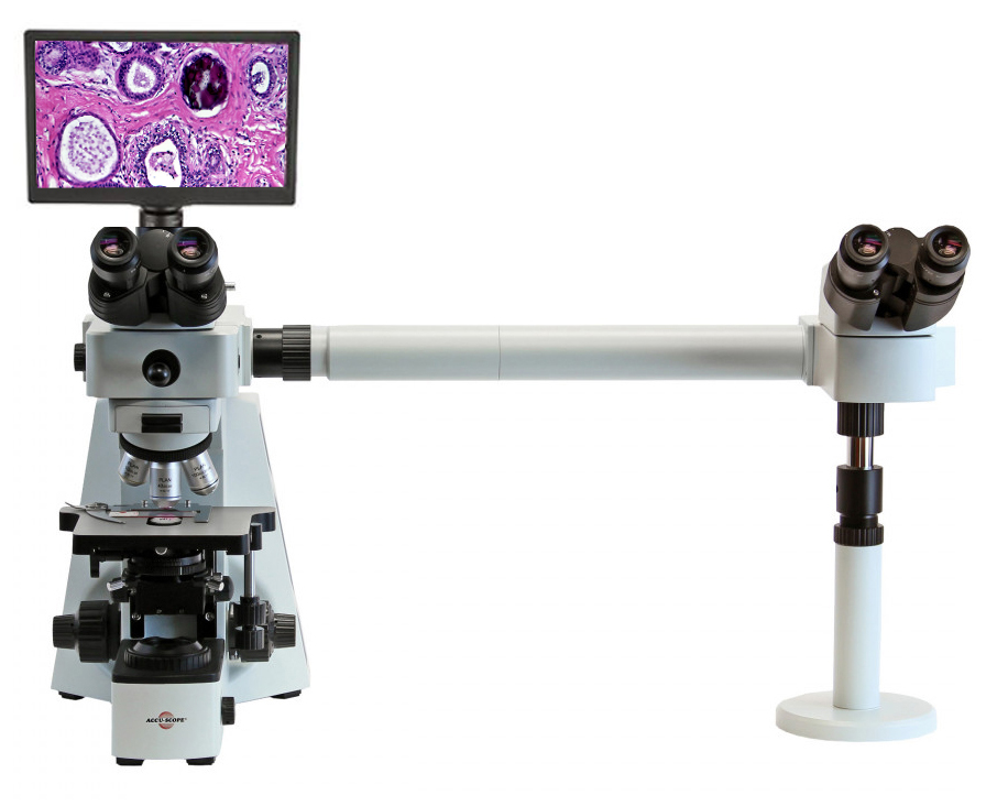 Excelis HD Cameras - Meyer Instruments