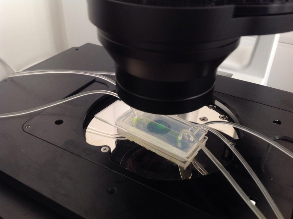 Linkam PE100 Inverted Peltier Systems - Meyer Instruments