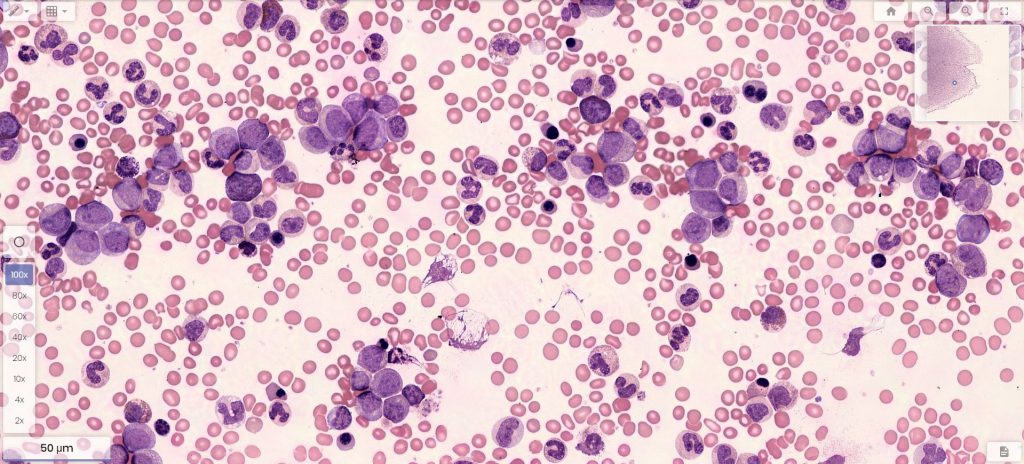 scorpio-banner - Meyer Instruments