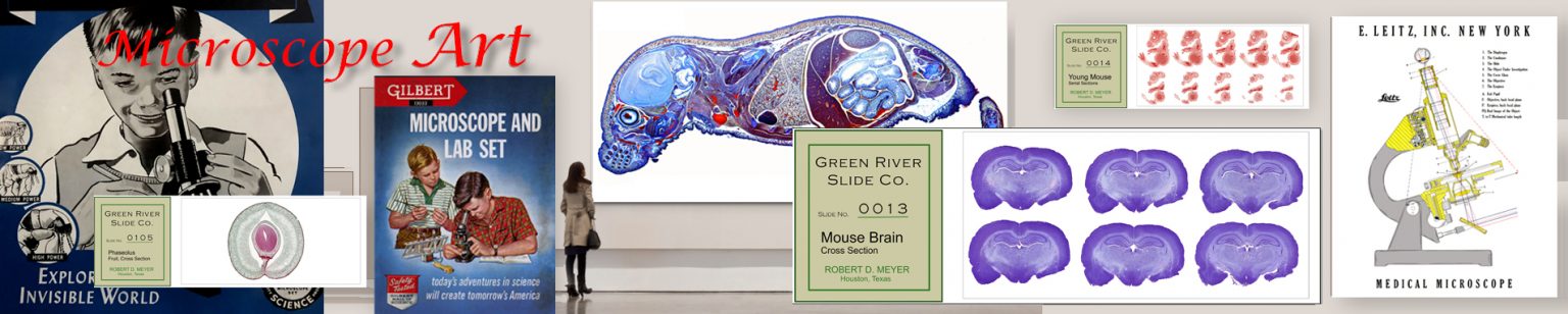 Meyer Instruments - Your Digital Imaging Partner