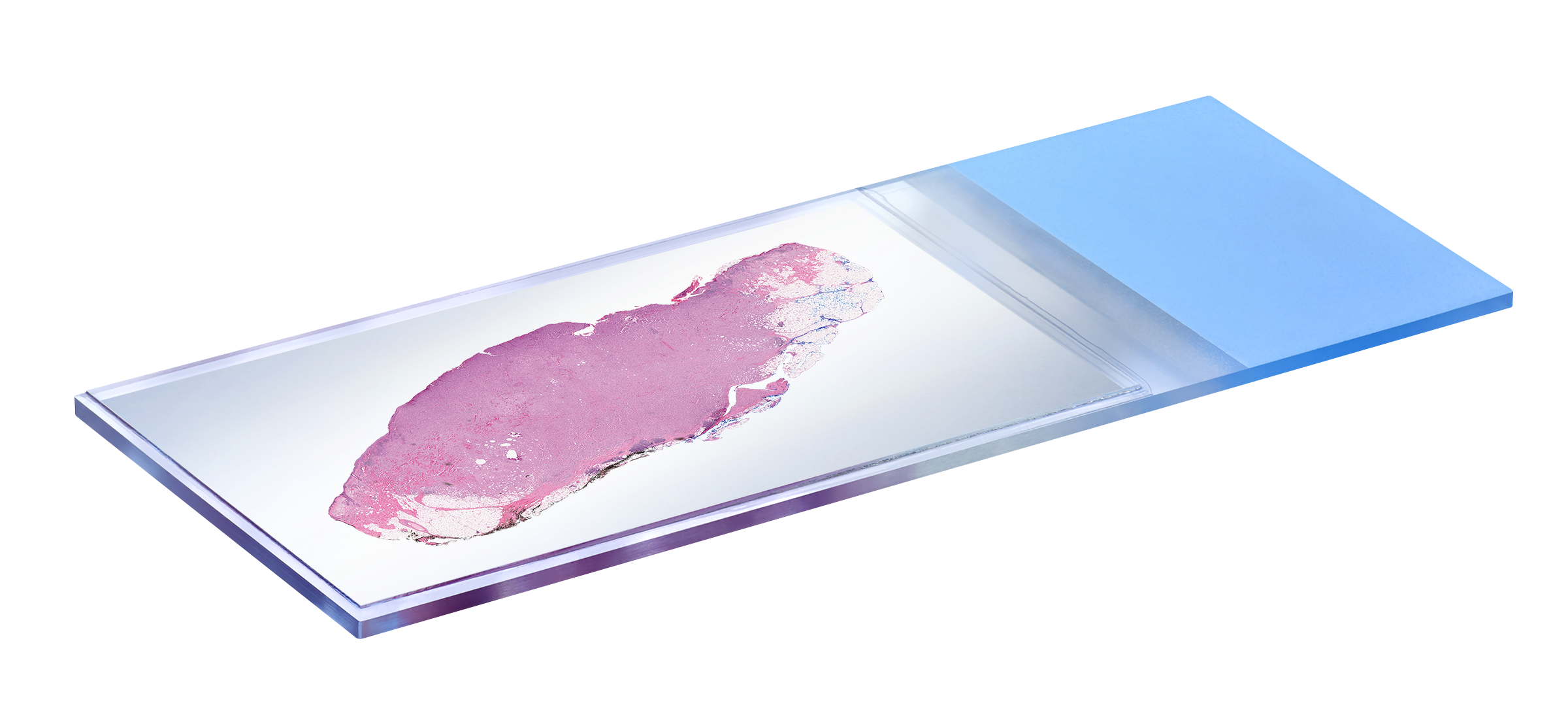 huron_whole_slide_with_tissue - Meyer Instruments