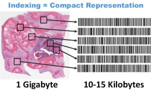Huron Digital Pathology Solutions - Meyer Instruments