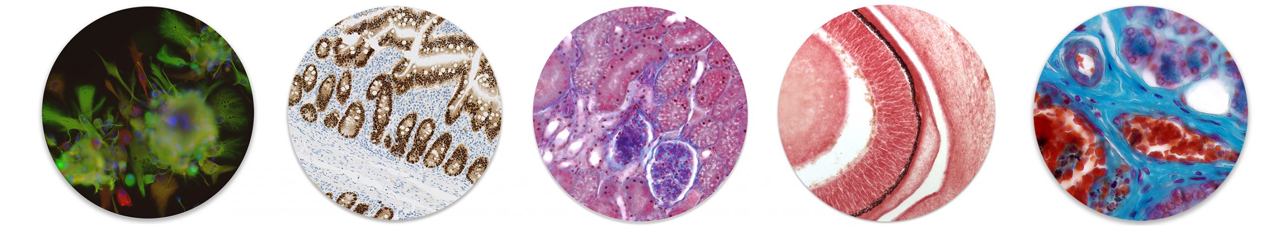 composite - Meyer Instruments