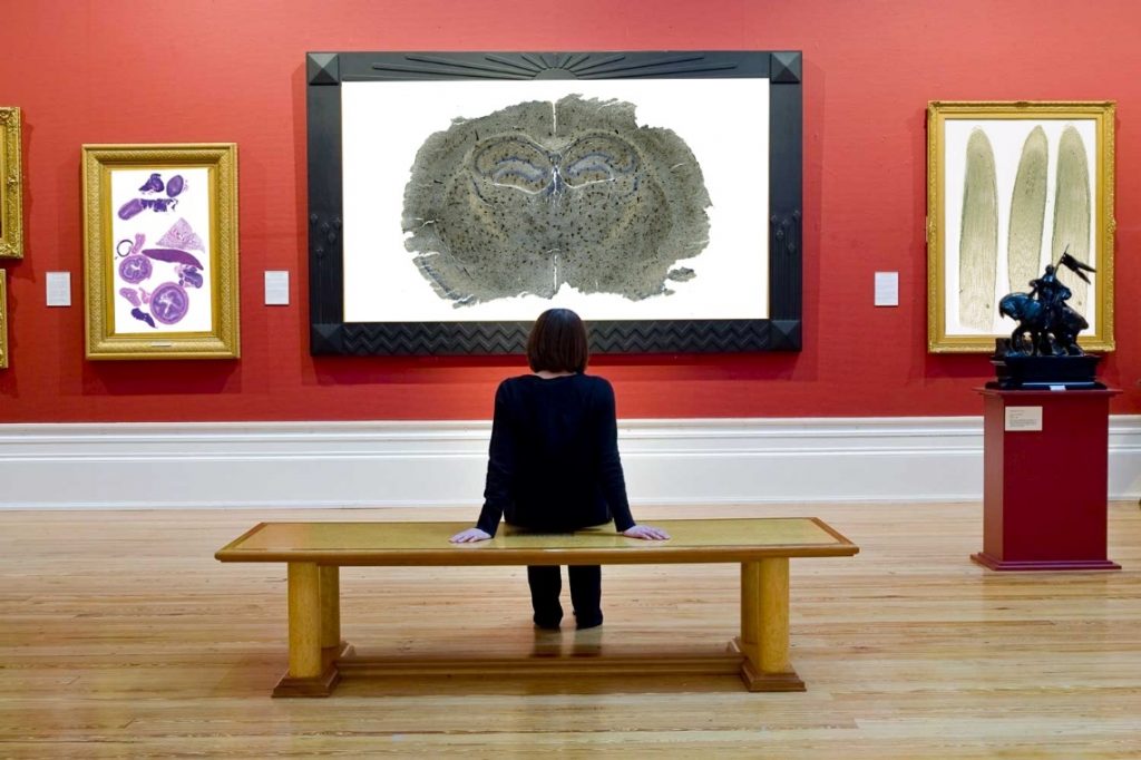 Microscope Slide Art - Meyer Instruments