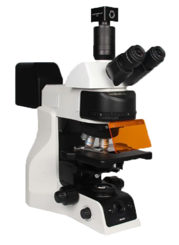 Motic PA53 Bio Scan - Meyer Instruments