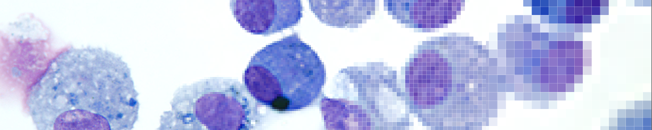 composite - Meyer Instruments