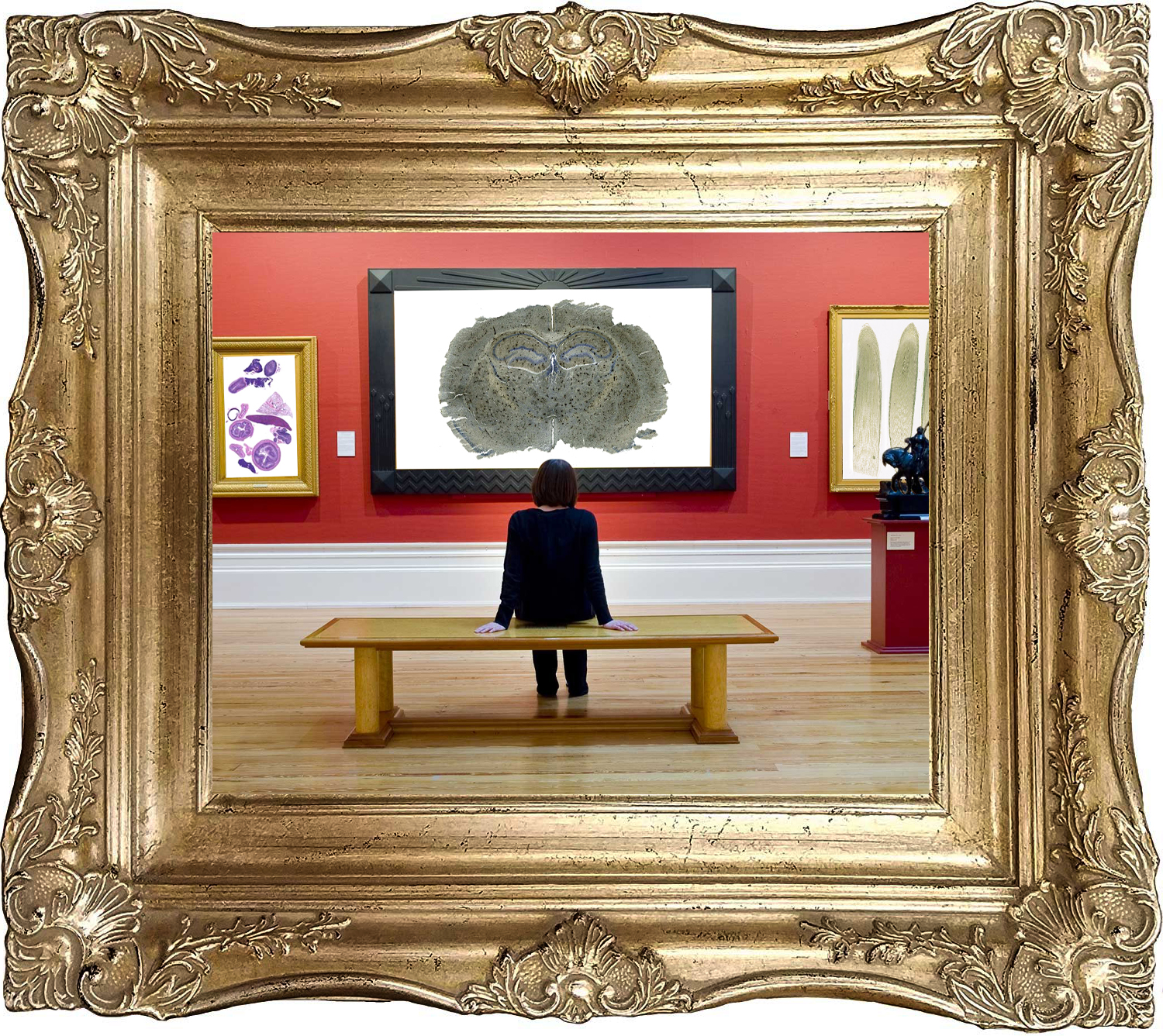 art-010-gallery - Meyer Instruments