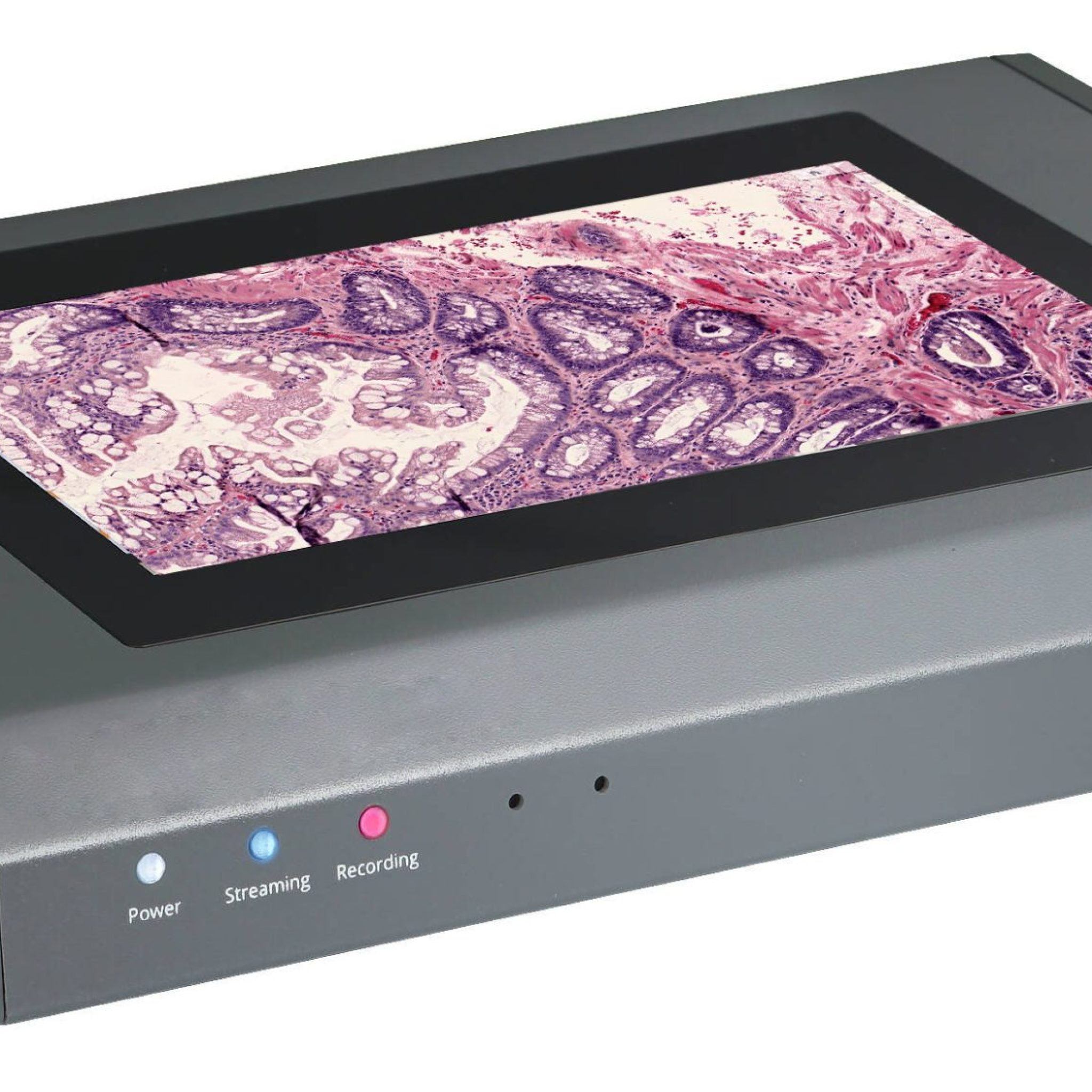 Meyer Instruments - Your Digital Imaging Partner