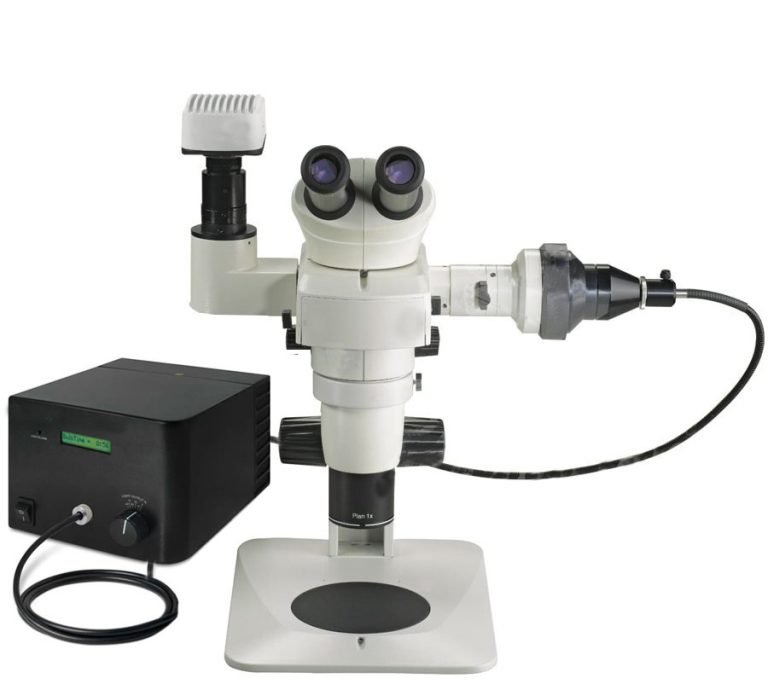 accu-scope-fluorescence-stereo - Meyer Instruments