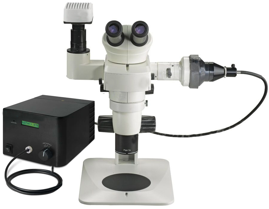 accu-scope-fluorescence-stereo - Meyer Instruments