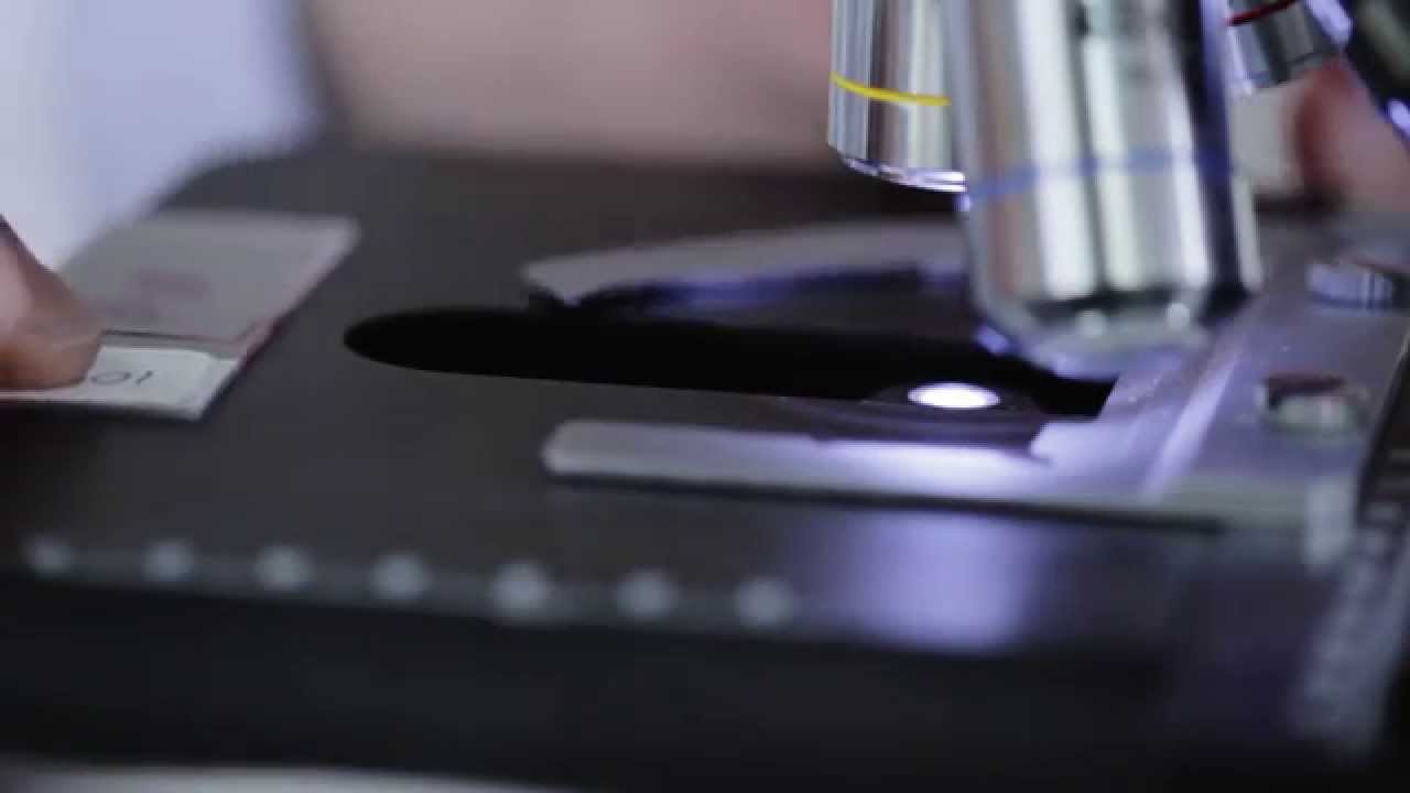 Panoptiq - manual slide stitching software - Meyer Instruments